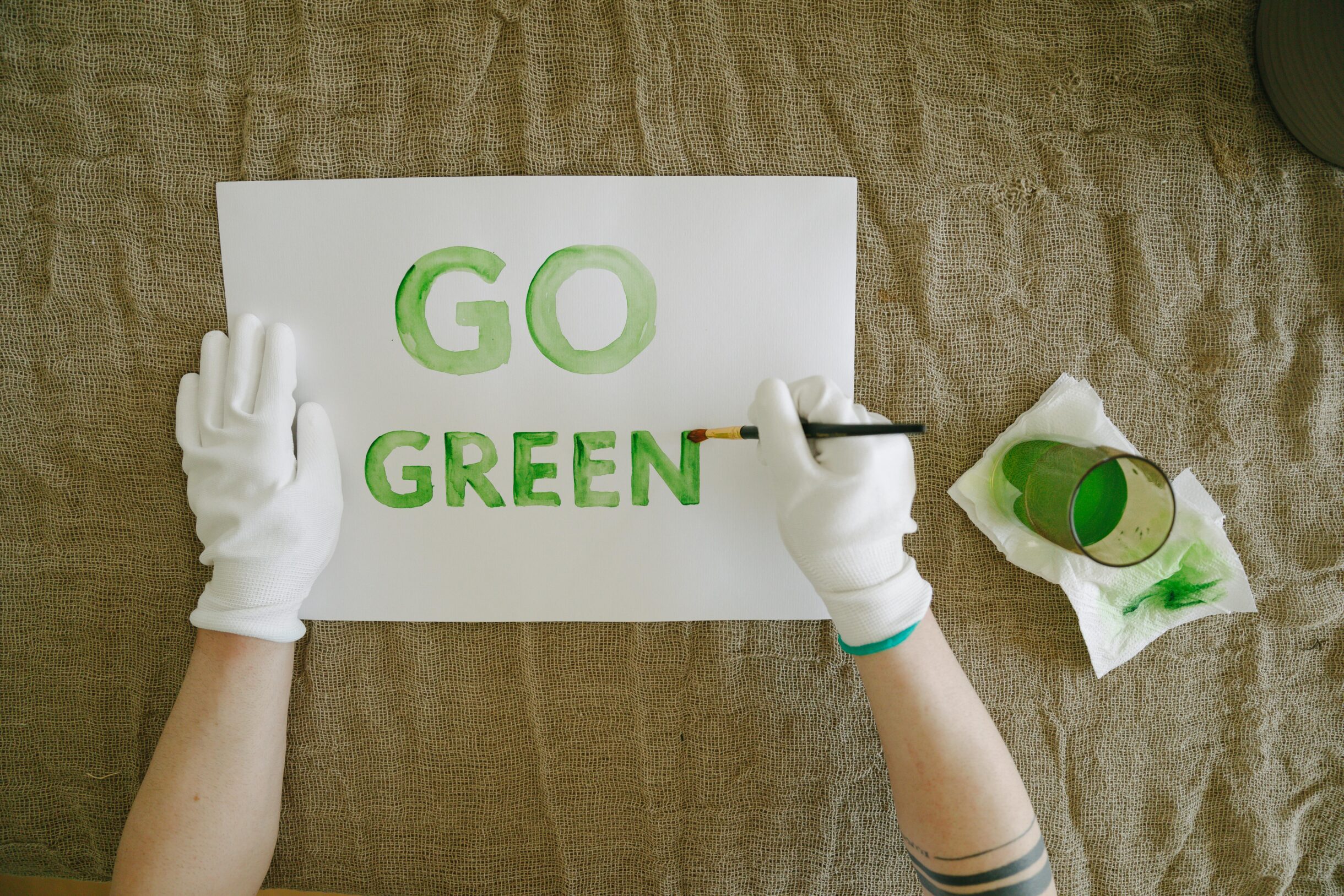 What’s The Big Deal with Going Green?